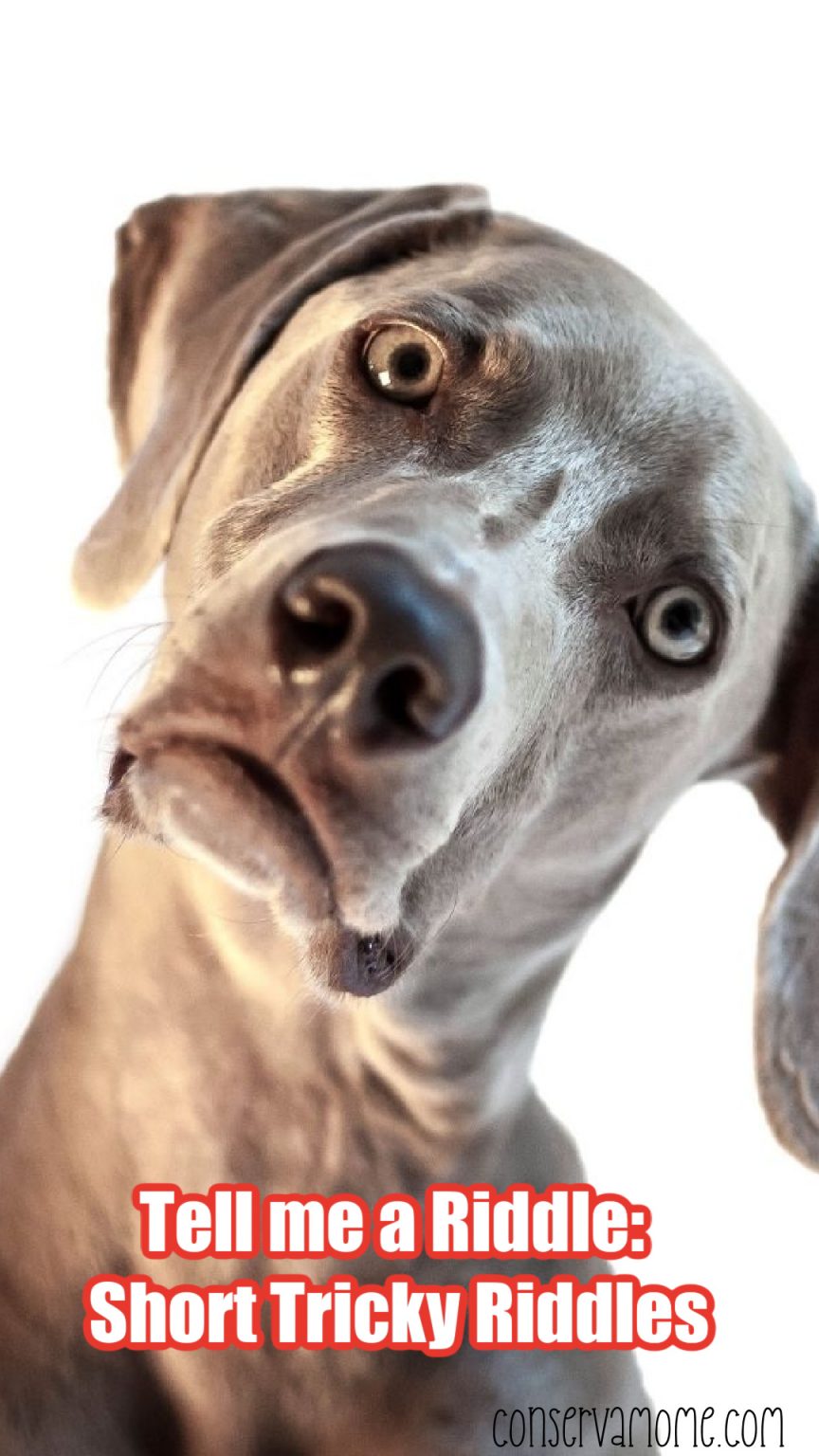 Tell me a Riddle: Short Tricky Riddles - ConservaMom