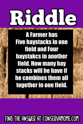 Tell me a Riddle: Short Tricky Riddles - ConservaMom