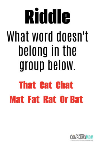 Riddle of the day
