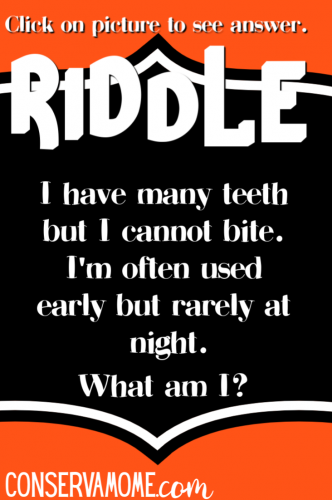 Riddle of The Day - ConservaMom