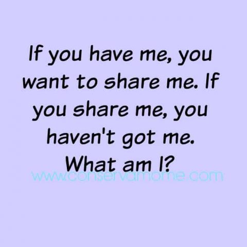 Fun riddles that will make you think - ConservaMom