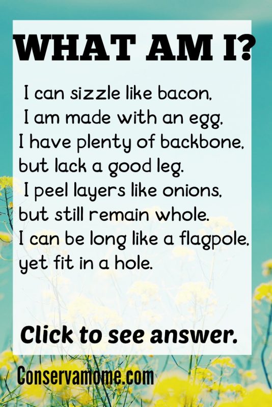 Some Fun and Tricky Riddles To Get your Brain Going. - ConservaMom