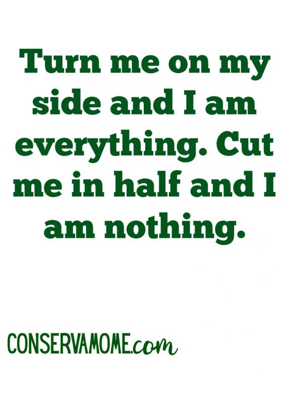 Brain Teasers & Riddles