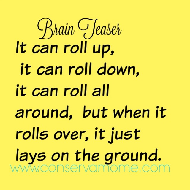 Tricky Brain Teaser To make you Think - ConservaMom