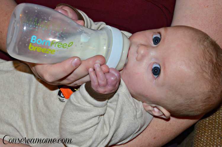 Born Free Breeze Bottles by Summer Infant - ConservaMom
