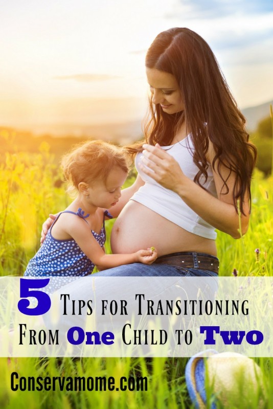 5 Tips for Transitioning From One Child to Two - ConservaMom