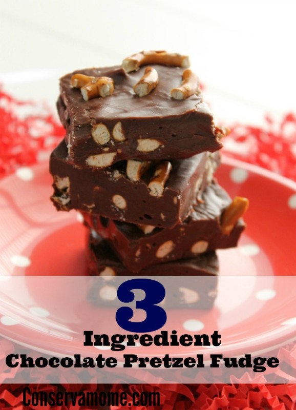 3 Ingredient Chocolate Pretzel Fudge - ConservaMom