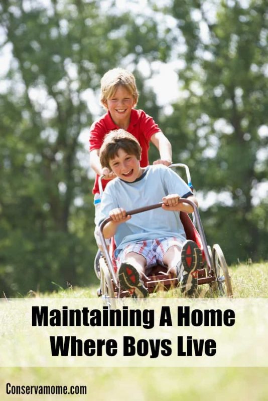 Maintaining A Home Where Boys Live - ConservaMom