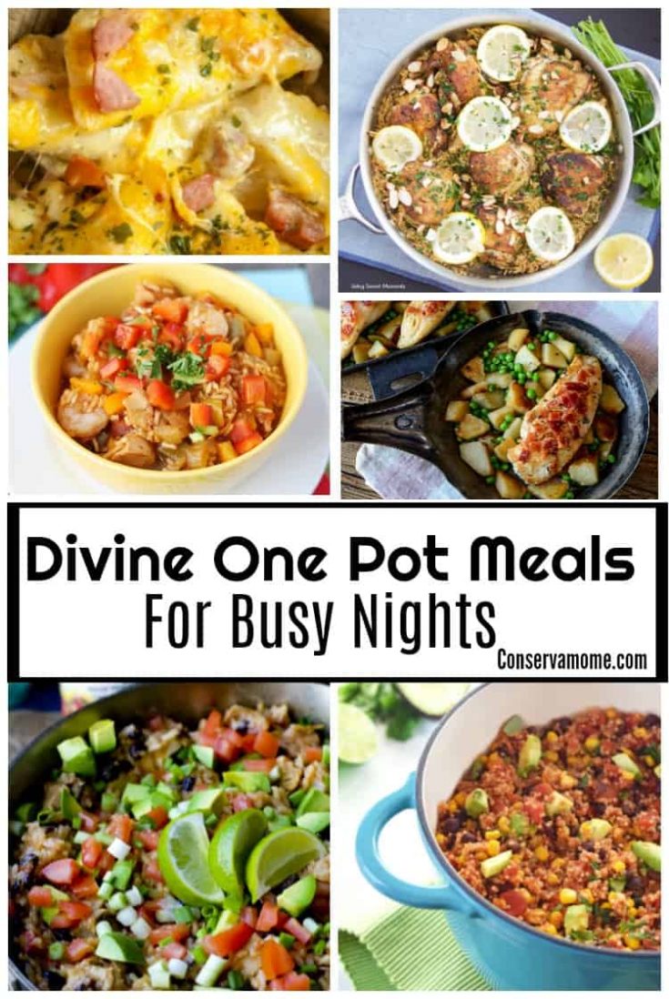 Divine One Pot Meals For Busy Nights - ConservaMom