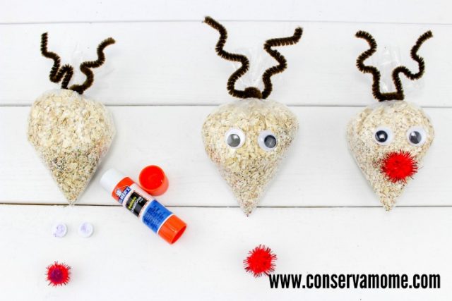 How to make Reindeer Food - ConservaMom