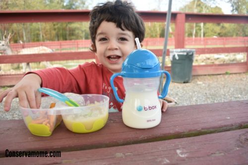 Ideas for Fall Fun With a Toddler