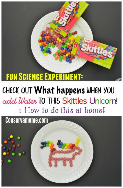 Skittles Unicorn: A fun Science Experiment - ConservaMom