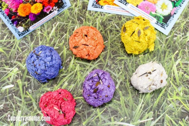 How to Make Garden Seed Bombs - ConservaMom