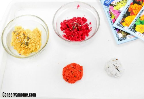 How to Make Garden Seed Bombs - ConservaMom