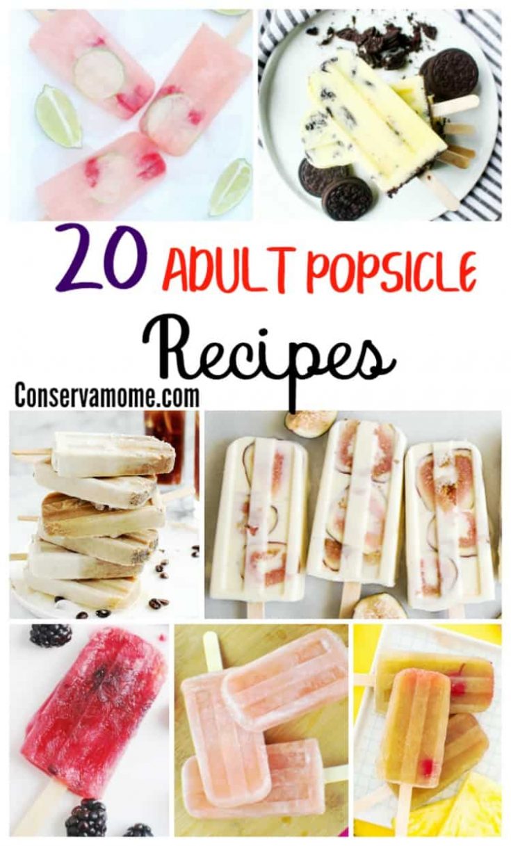20 Adult Popsicle Recipes - ConservaMom