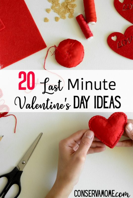 20 Last Minute Valentine's Day ideas - ConservaMom