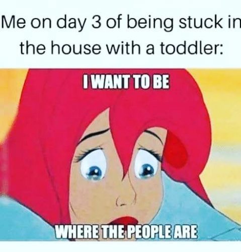 20 Toddler Memes that Sum up What it's like to have parent a toddler