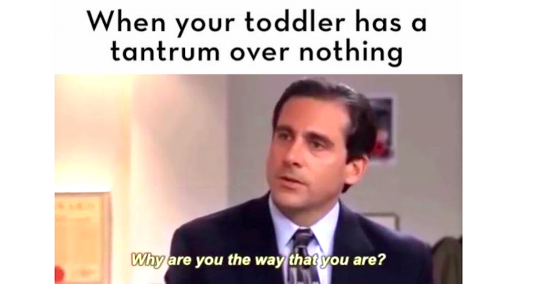 20 Toddler Memes that Sum up What it's like to have parent a toddler