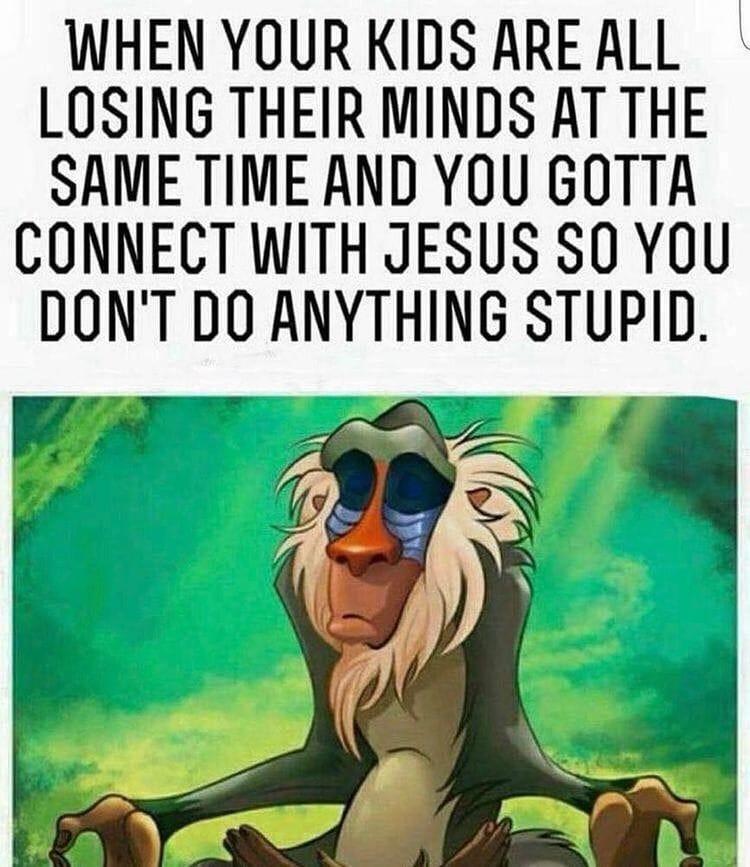 20 Memes that Describe Summer Parenting perfectly - ConservaMom