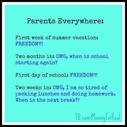 20 Memes that Describe Summer Parenting perfectly - ConservaMom