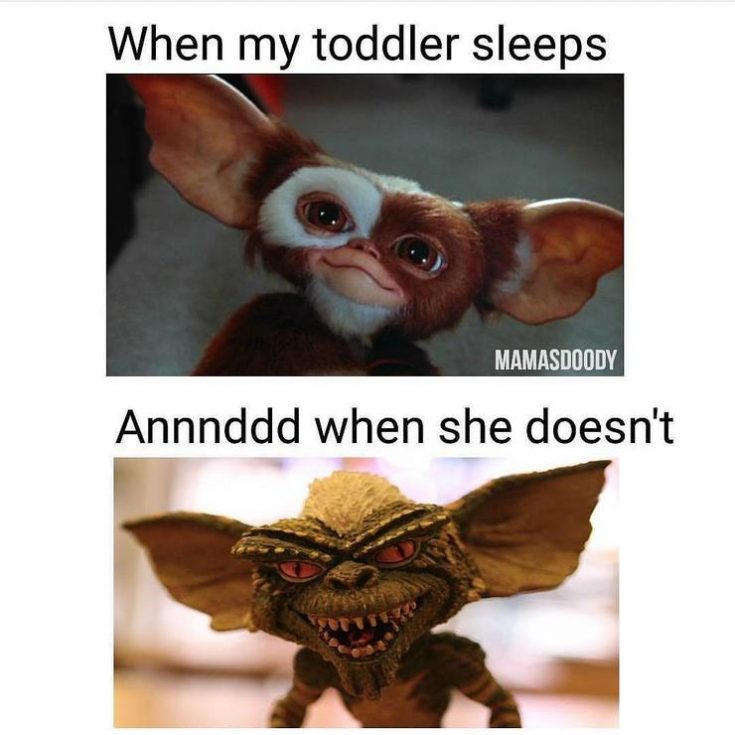 20 Toddler Memes that Sum up What it's like to have parent a toddler