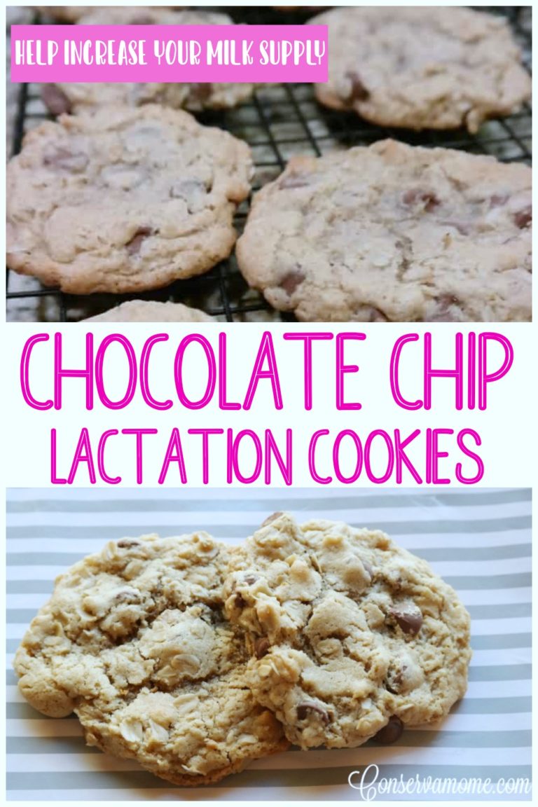 Easy Chocolate Chip Lactation Cookies : Help increase Breast Milk ...