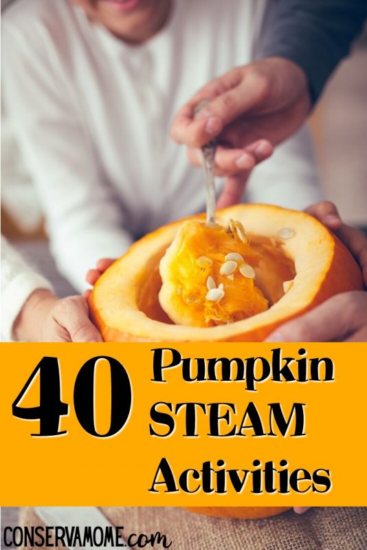 Pumpkin STEAM activities :Fall Themed STEAM Learning