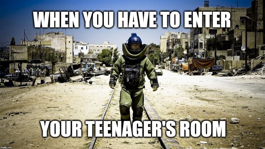 Memes That Sum up what it's like to have Teenagers / Tweens