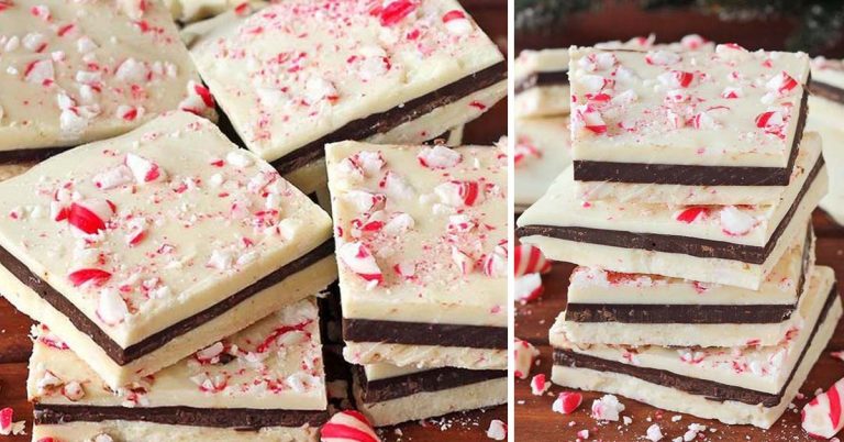15 Peppermint Gift Ideas - A Fun Round up of Homemade Gifts