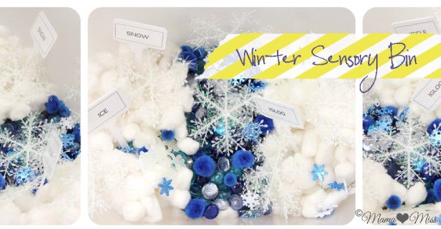 20 Winter Sensory Activities for Kids - ConservaMom