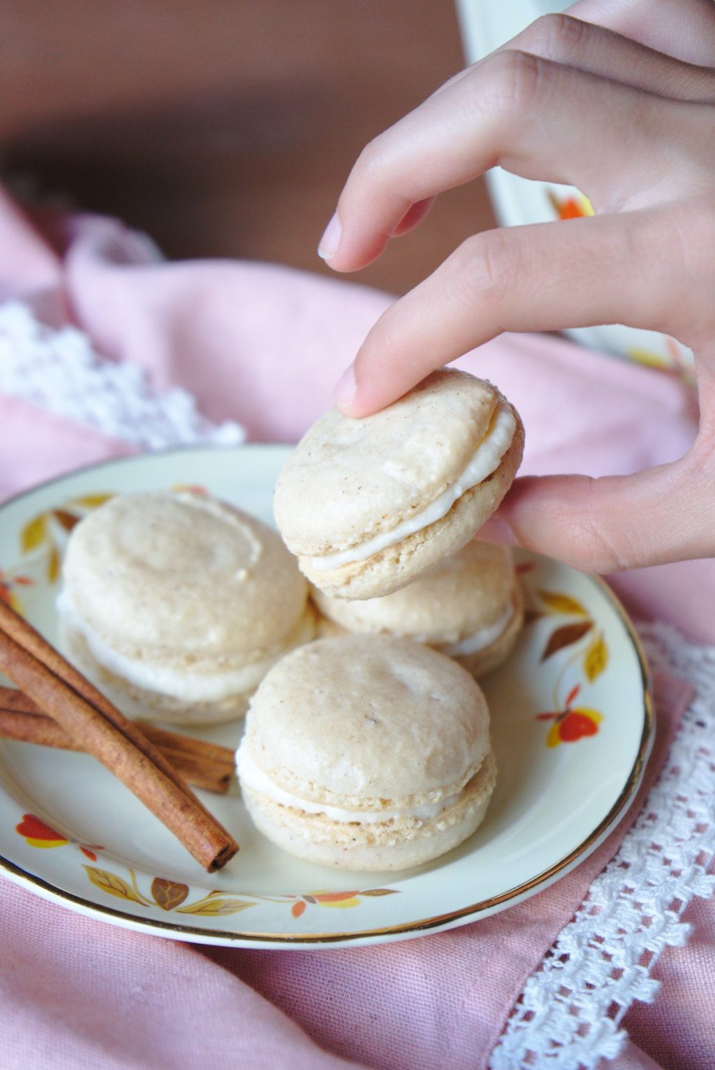 30 Marvelous Macaron Recipes - ConservaMom