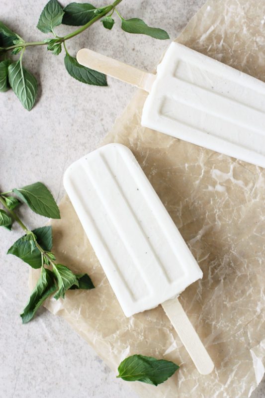 20 Adult Popsicle Recipes - ConservaMom
