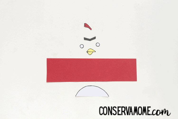 Angry Birds Craft with free printable template - ConservaMom