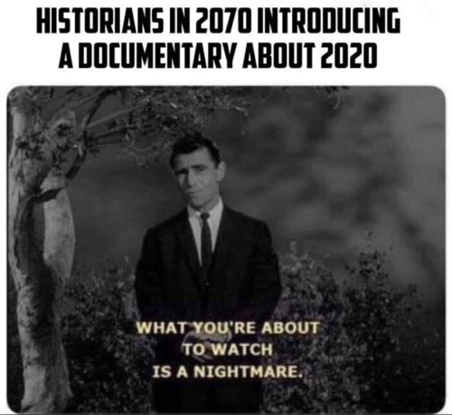 20 Memes That Sum up 2020 Accurately - ConservaMom