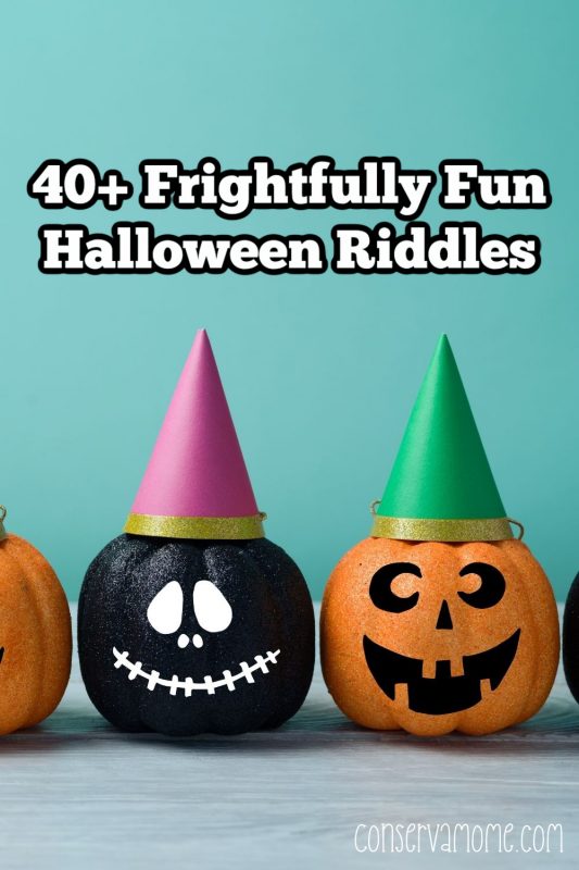 40+ Frightfully Fun Halloween Riddles - ConservaMom