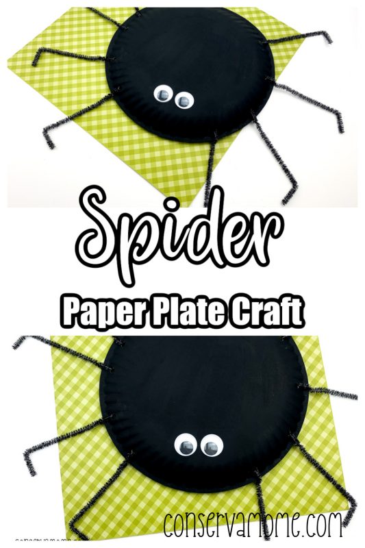 Paper Plate Spider Craft: The Perfect Spider craft for preschool