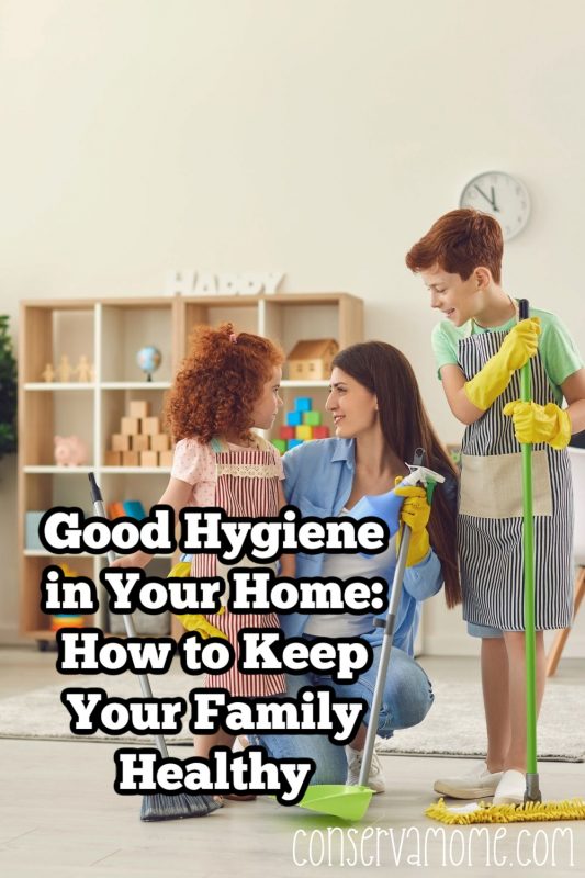 Good Hygiene in Your Home: How to Keep Your Family Healthy - ConservaMom