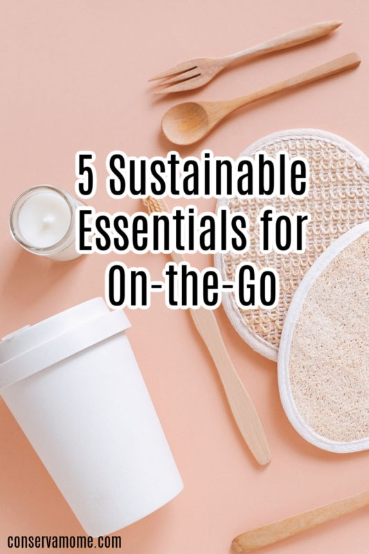 5 Sustainable Essentials for On-the-Go - ConservaMom