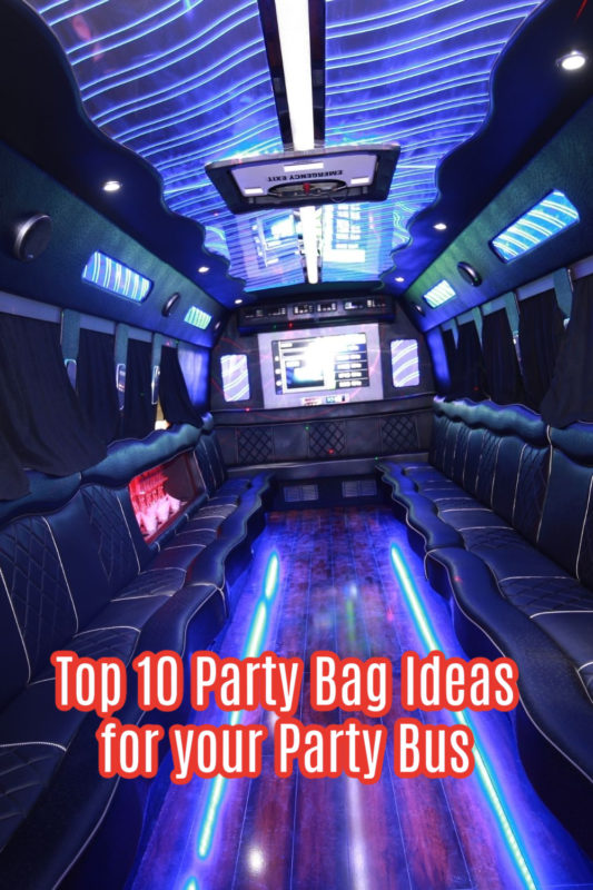 Top 10 Party bags for your Party Bus - ConservaMom