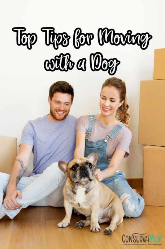 Top Tips for Moving with a Dog - ConservaMom