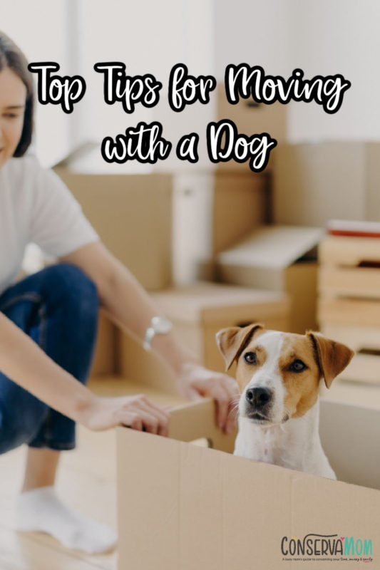Top Tips for Moving with a Dog - ConservaMom