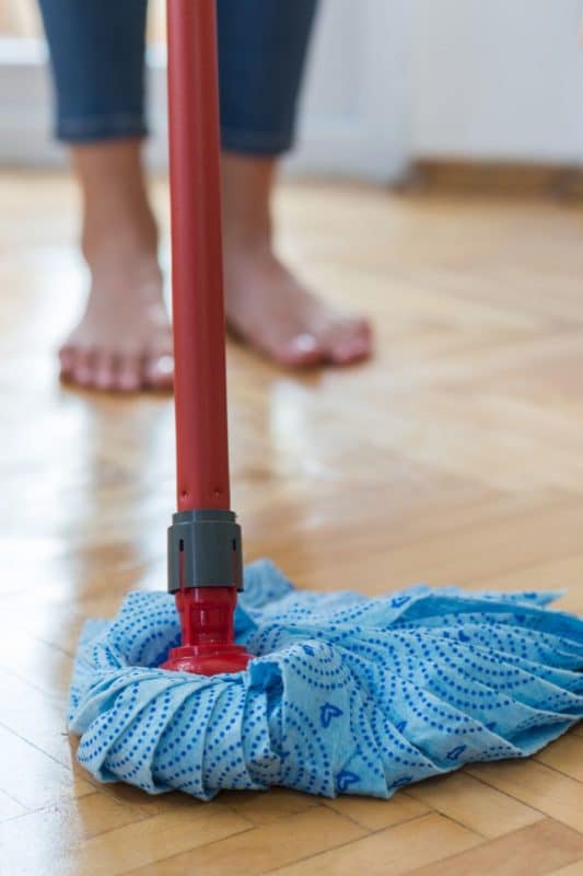 Motivating your Family to Help Clean - ConservaMom