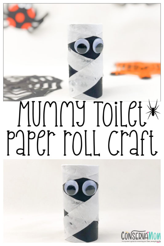 Mummy Toilet paper roll Craft - ConservaMom