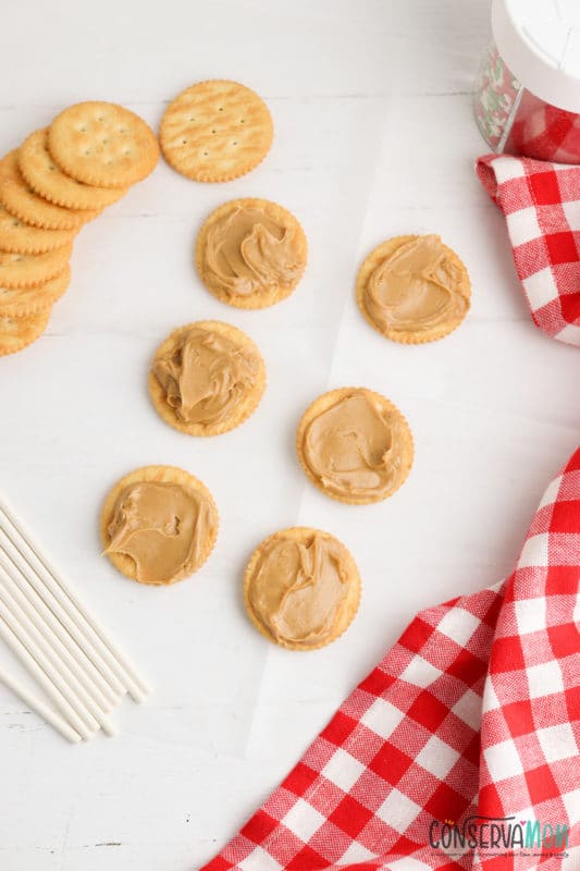 Chocolate-Covered Ritz Cracker Pops - ConservaMom