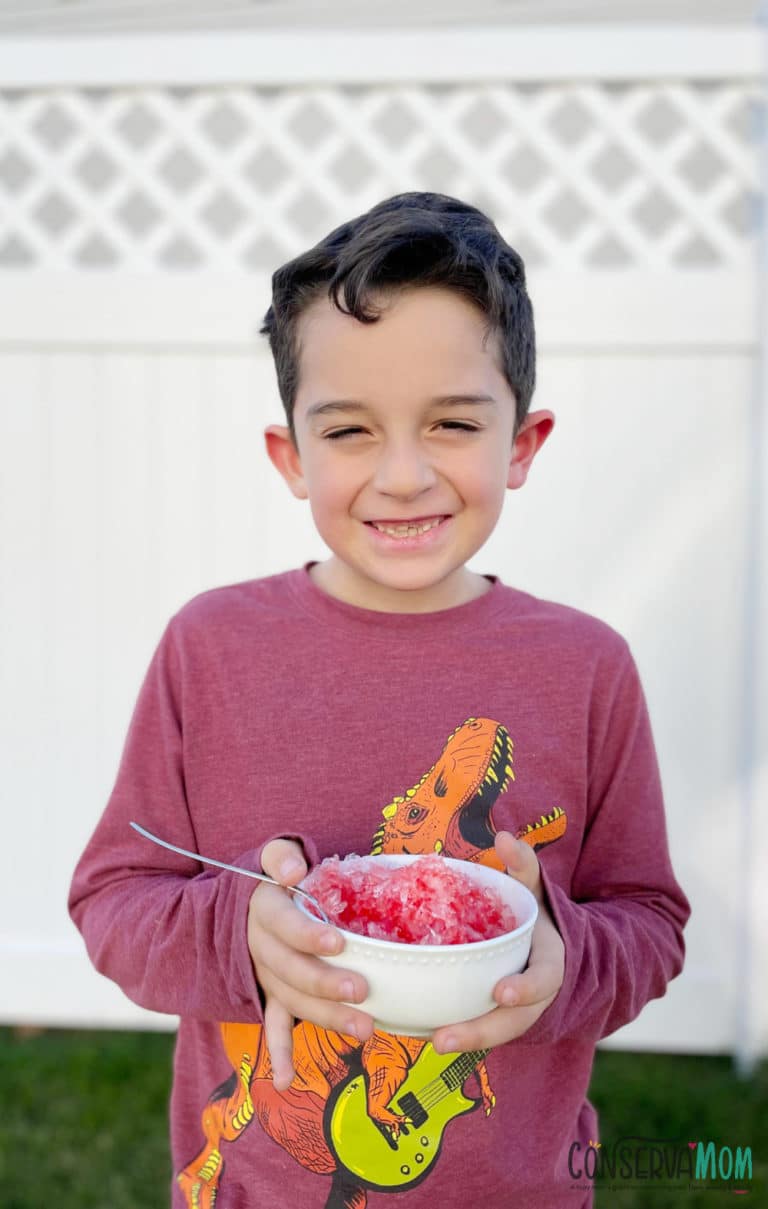 Holiday Gift Idea: Hawaiian Shaved Ice Home Pro Shaver!