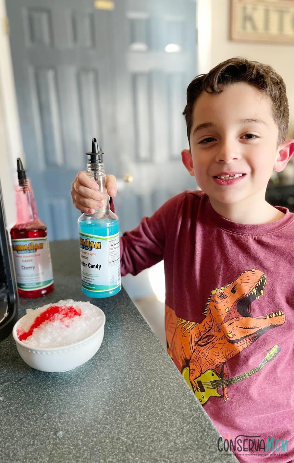 Holiday Gift Idea: Hawaiian Shaved Ice Home Pro Shaver!