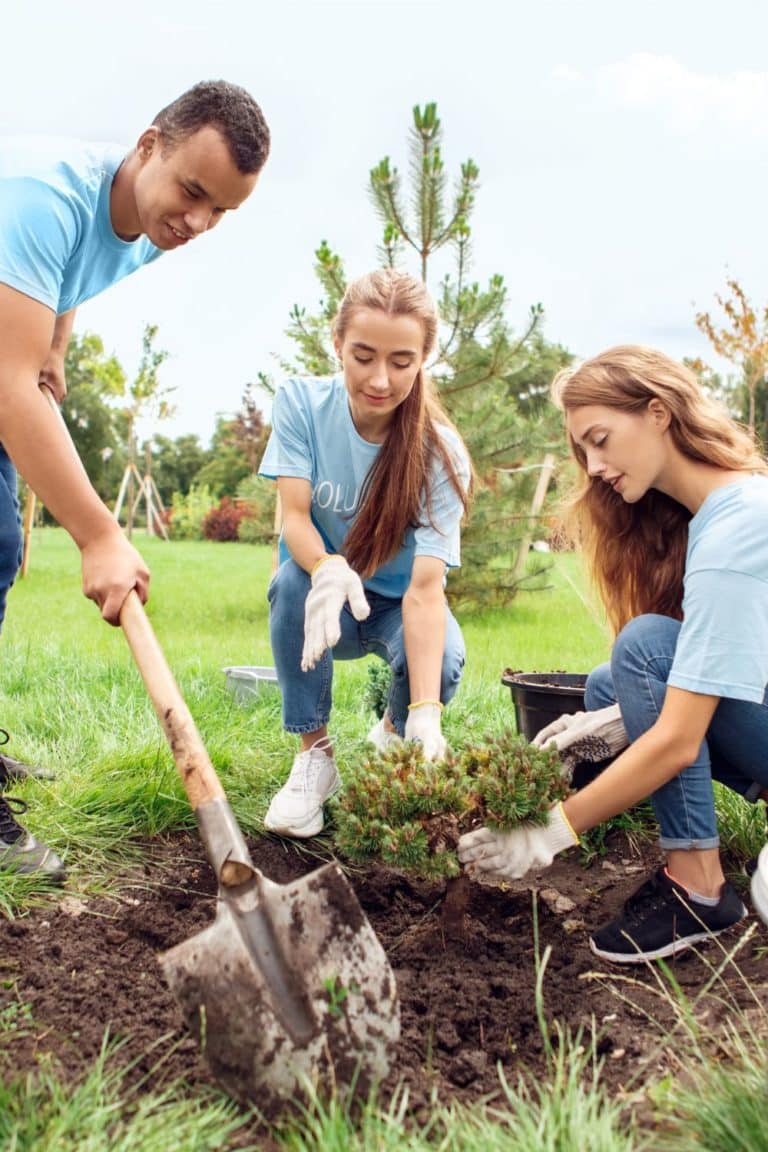 How To Gather An Entire School For A Community Project