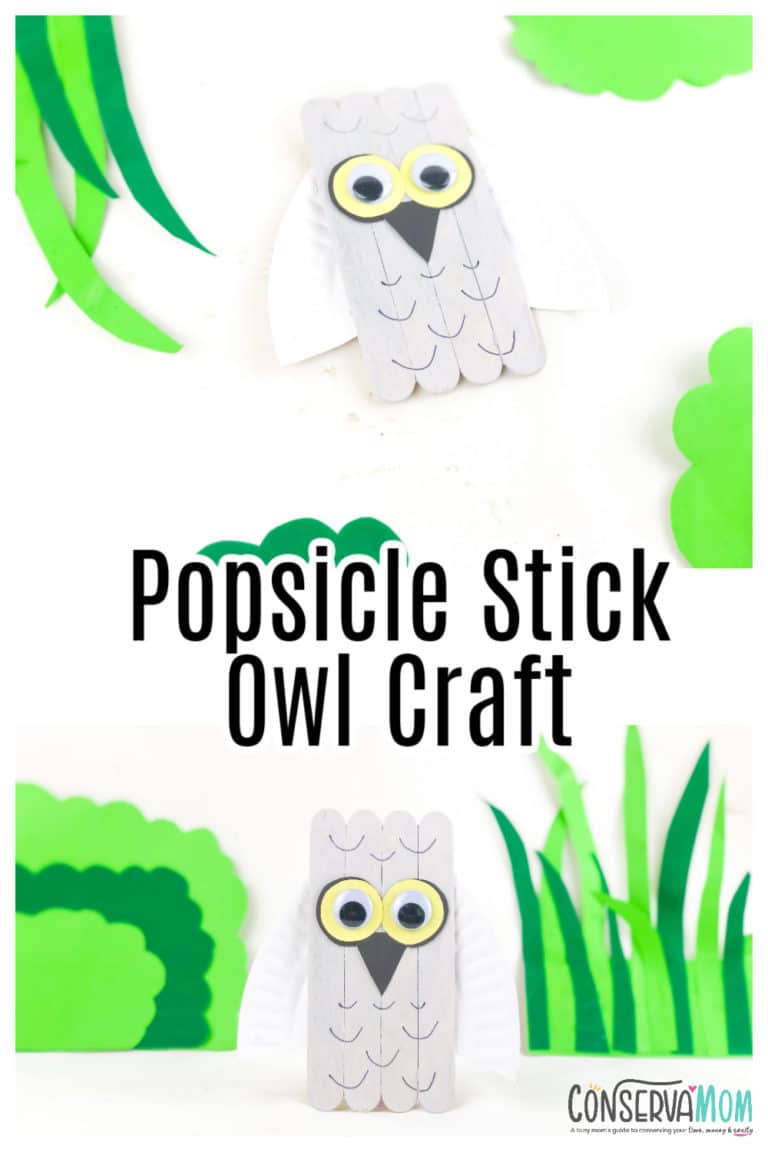 Winter Owl Popsicle Stick Craft - ConservaMom
