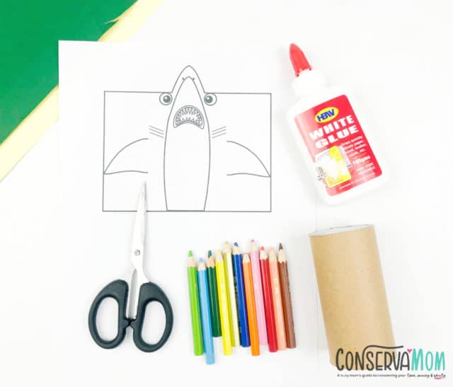 Toilet paper roll Shark craft for kids - ConservaMom