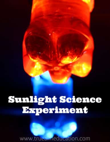 20 Exciting Backyard Science Experiments